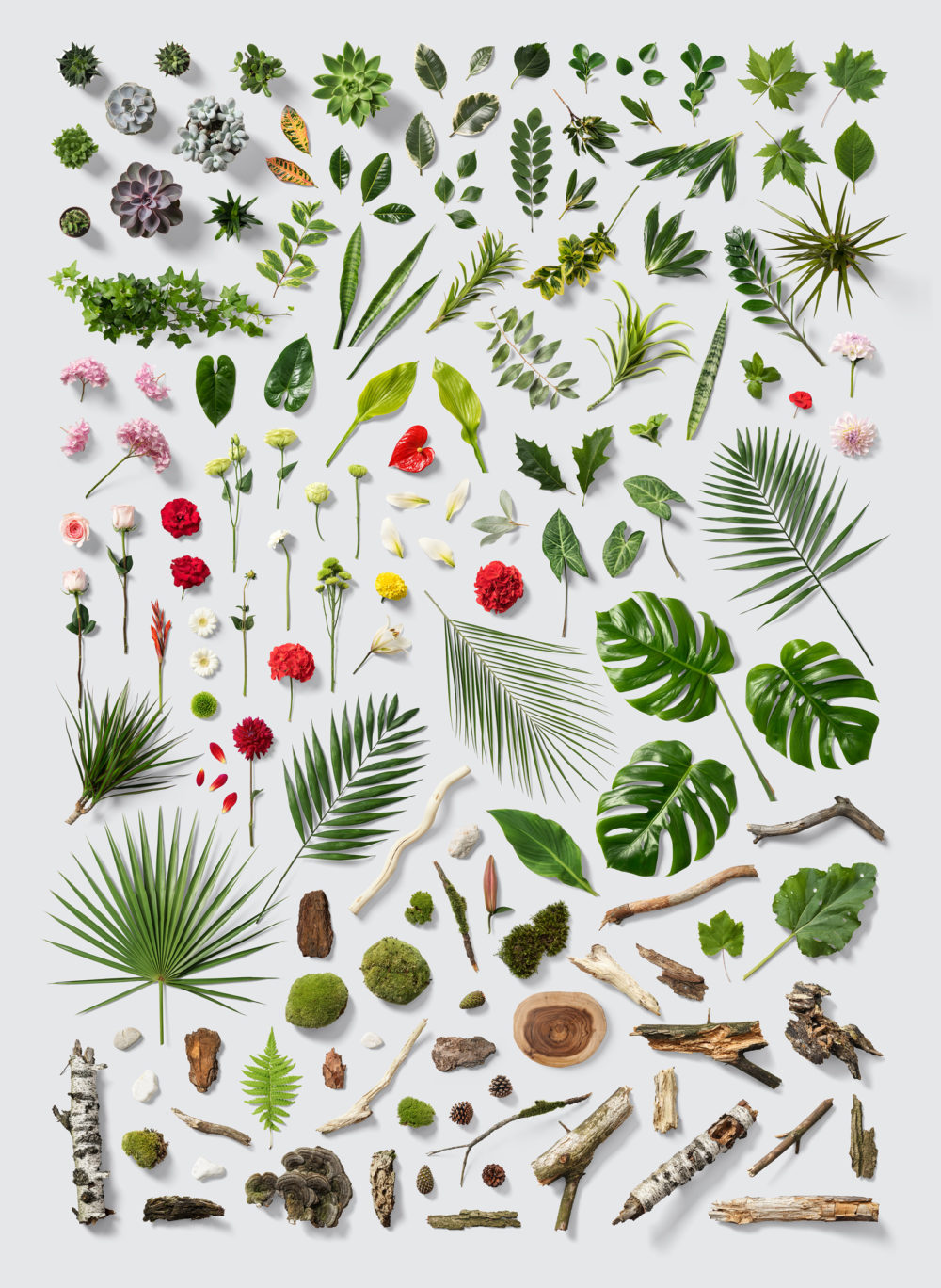 Floral Mockups — PSD Mockups & Graphic Design Freebies | Mr.Mockup