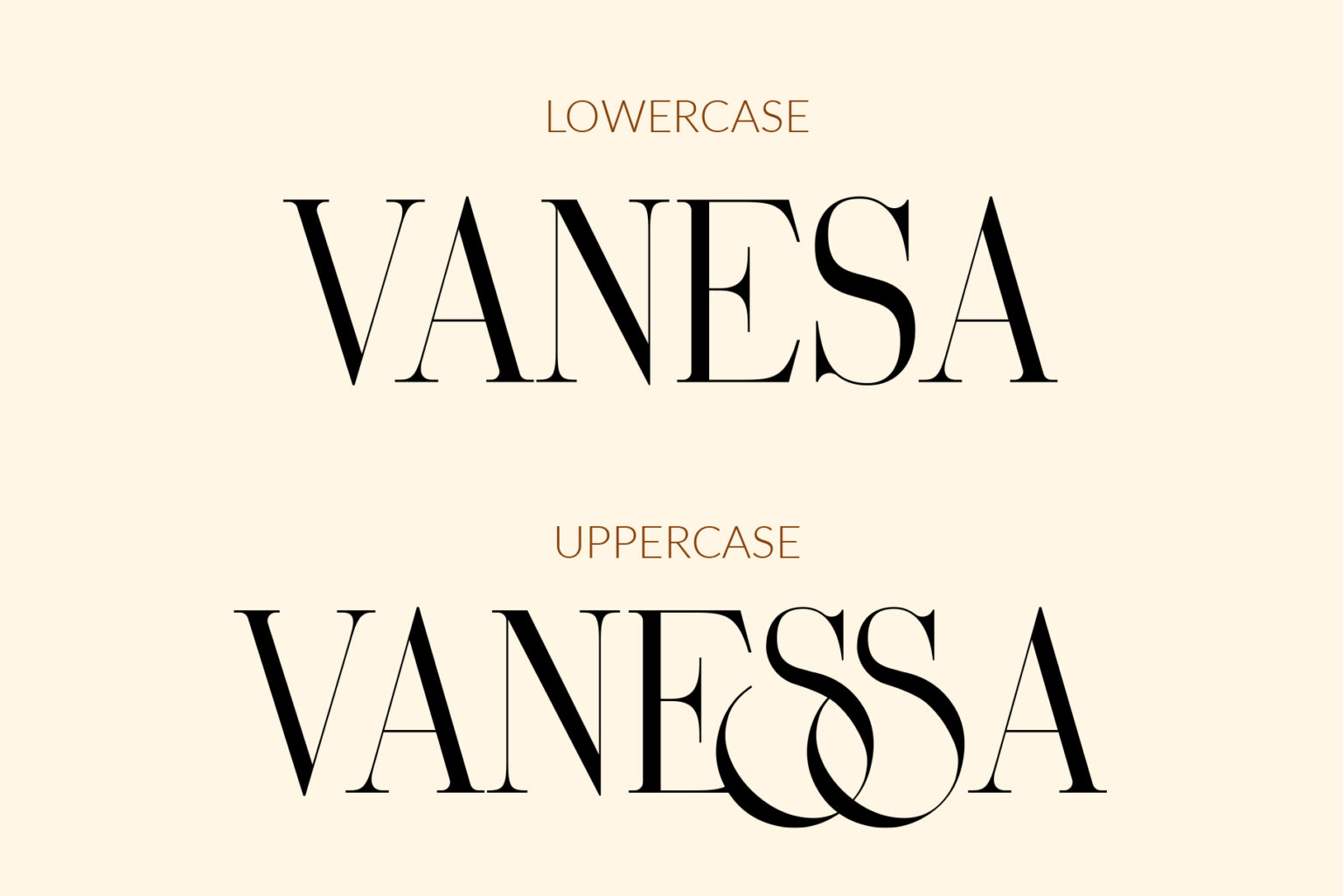 The Essentials Font Bundle — PSD Mockups & Freebies | Mr.Mockup