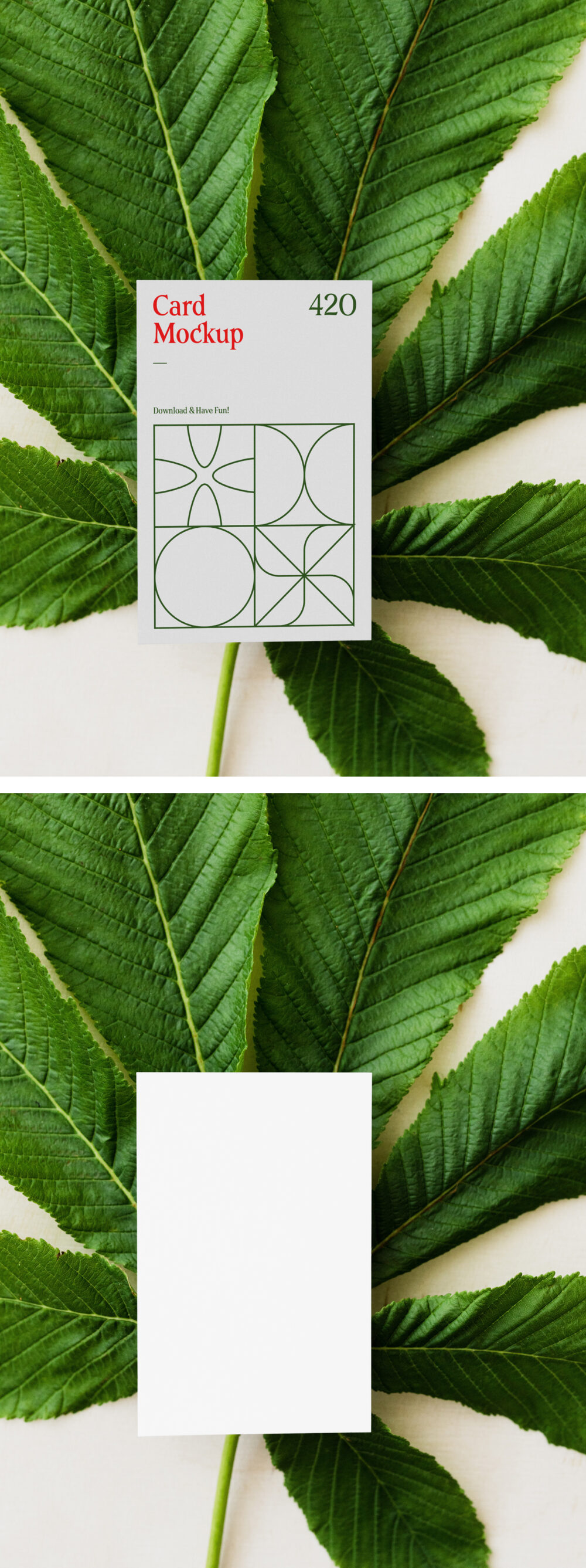 Card with Leaf Mockup — Mr.Mockup | Graphic Design Freebies