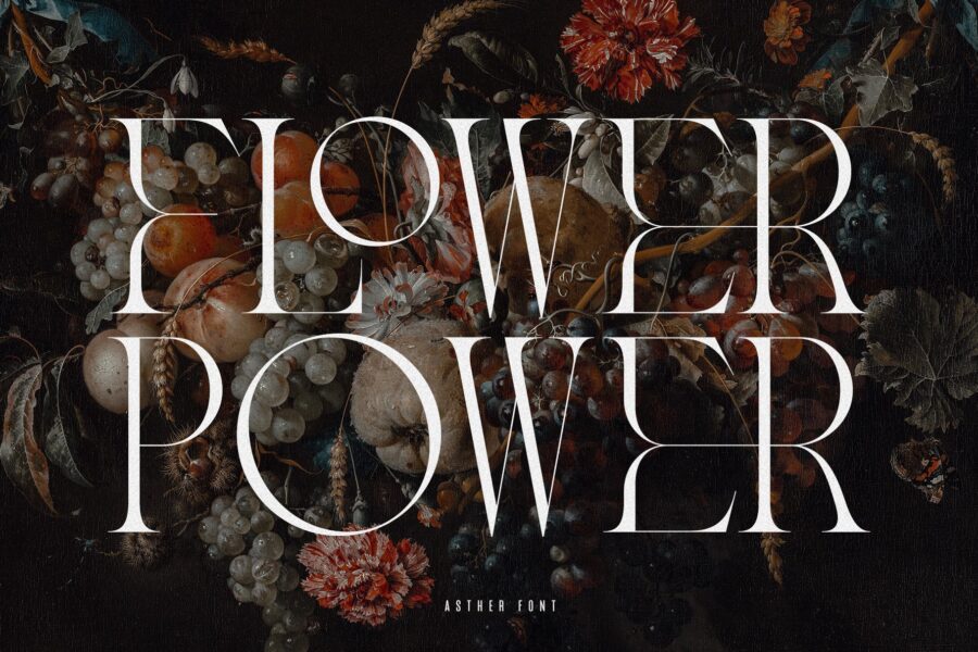 The Modern Typography Bundle — PSD Mockups & Freebies | Mr.Mockup