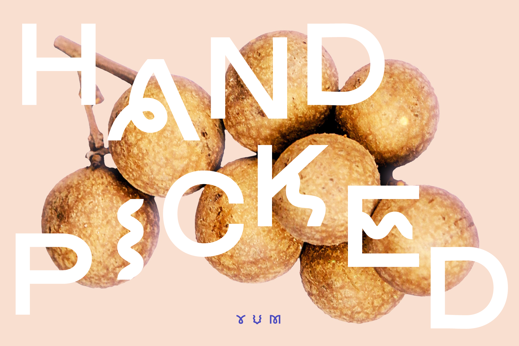 Hand Picked Font Bundle — Mr.Mockup