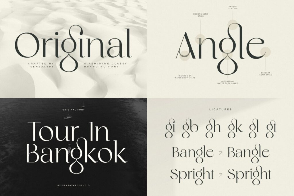 Unique Branding Modern Font Bundle — Mr.Mockup