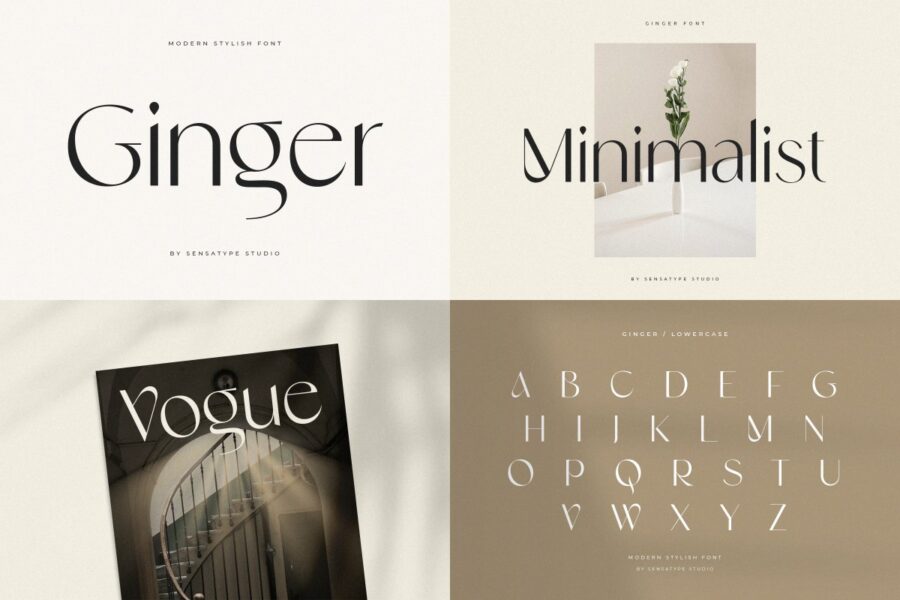 Unique Branding Modern Font Bundle — Mr.Mockup