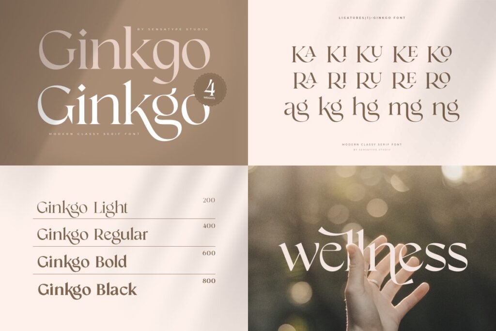 Unique Branding Modern Font Bundle — Mr.Mockup