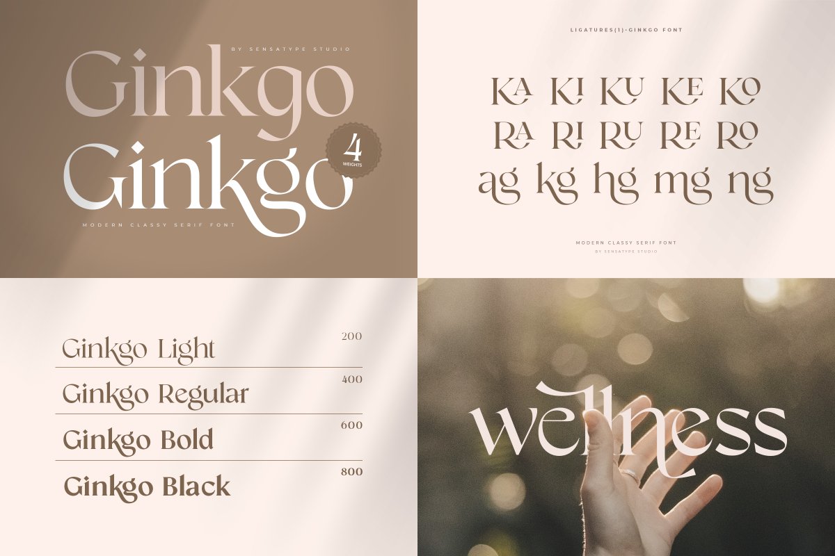 Unique Branding Modern Font Bundle — Mr.Mockup