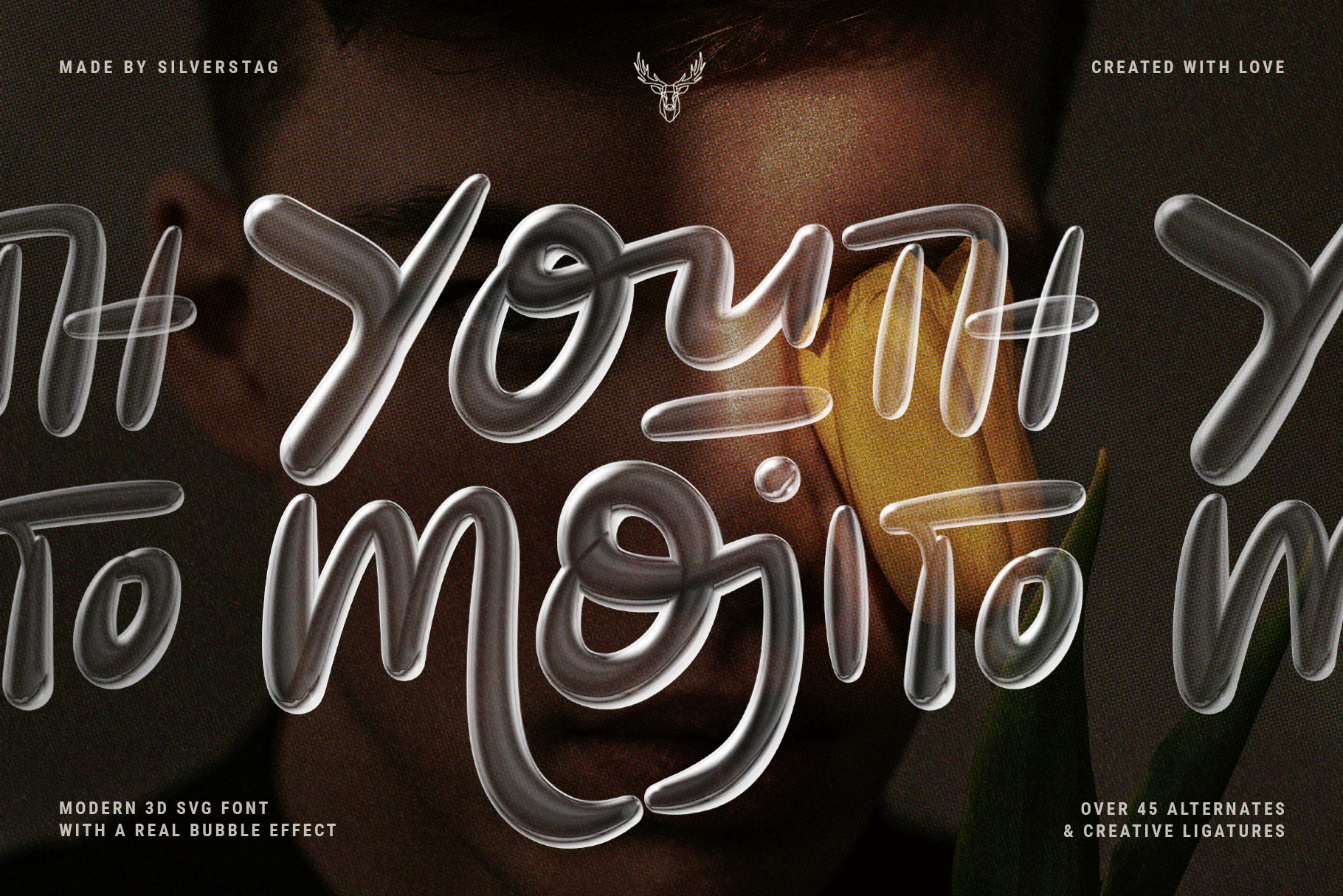 Chic & Modern Font Bundle Vol.3 — Mr.Mockup