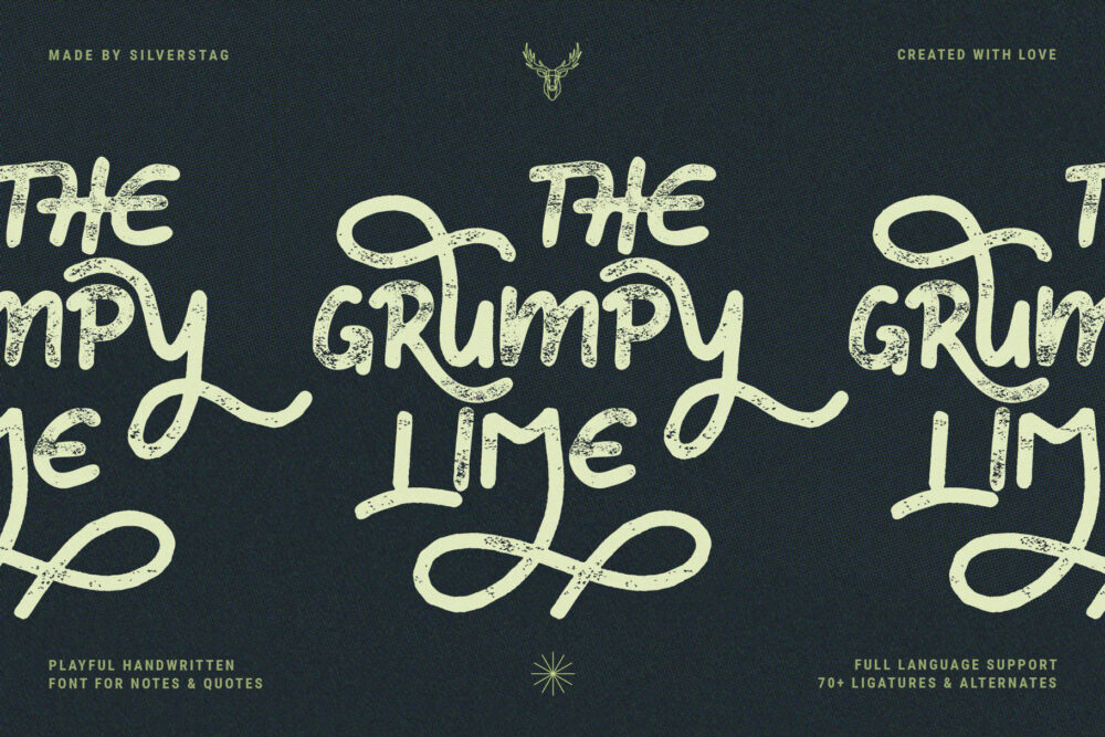 Chic & Modern Font Bundle Vol.3 — Mr.Mockup