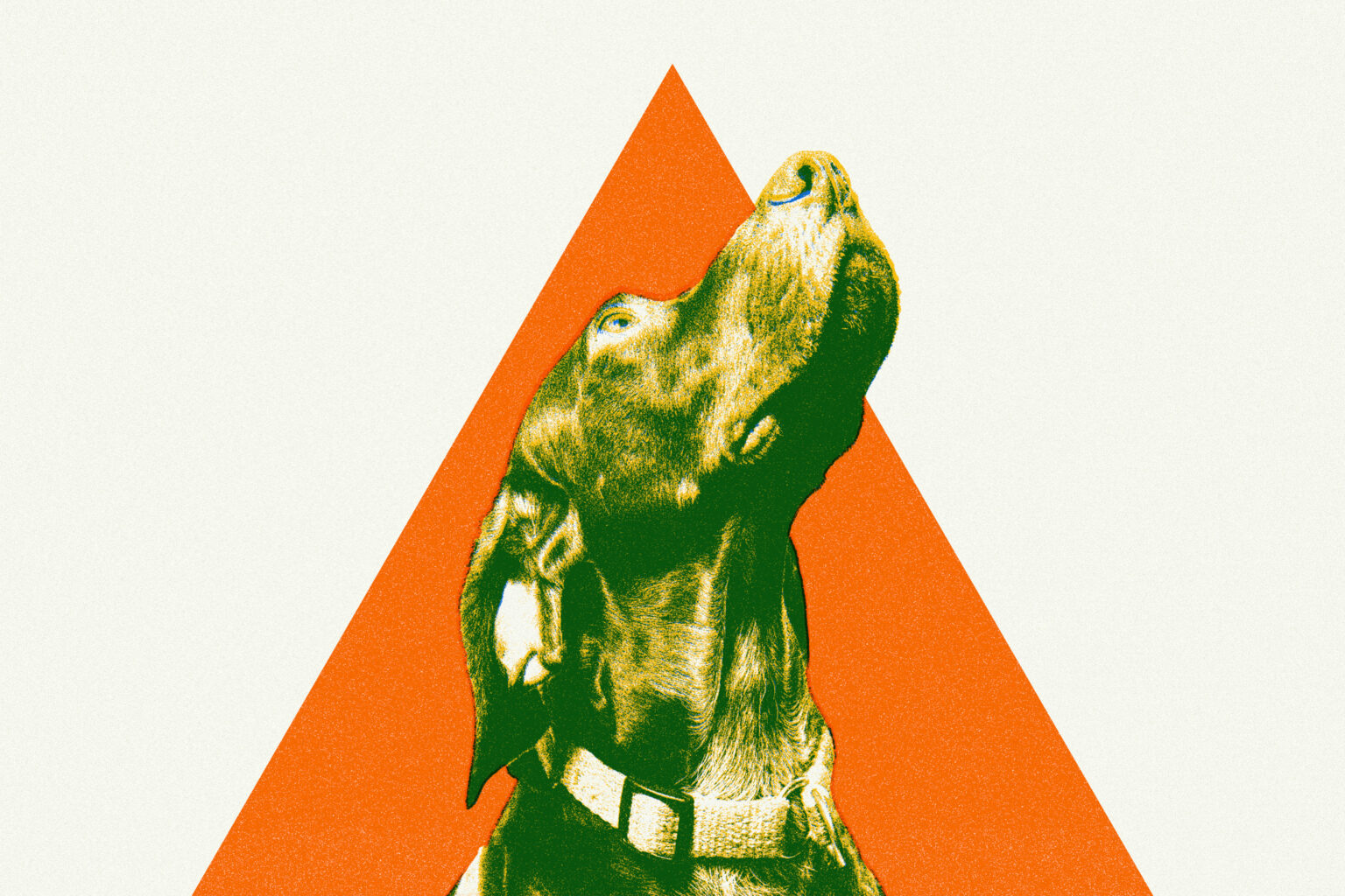 Risoprint Effect — Mr.Mockup PSD Mockups & Freebie