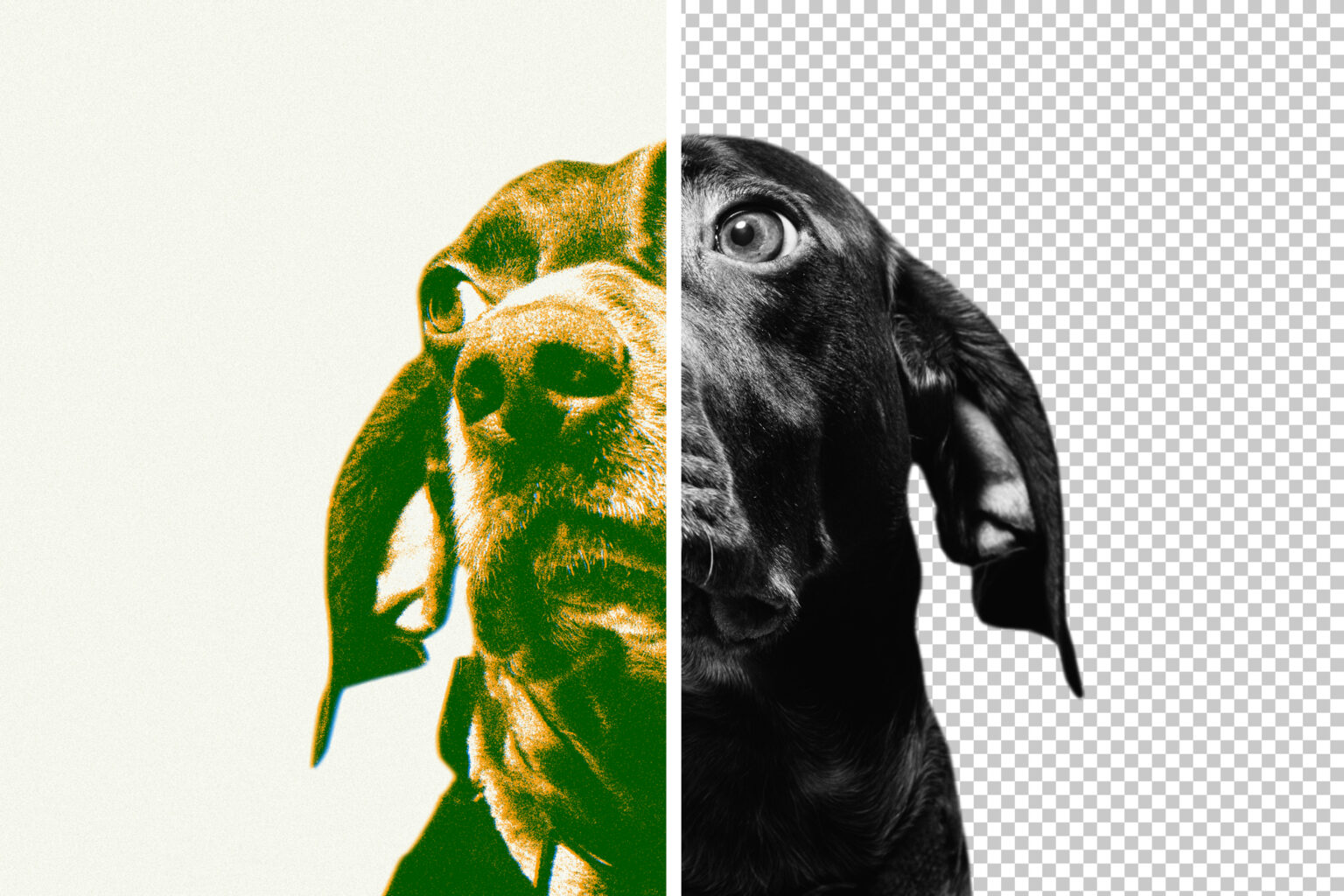 Risoprint Effect — Mr.Mockup PSD Mockups & Freebie