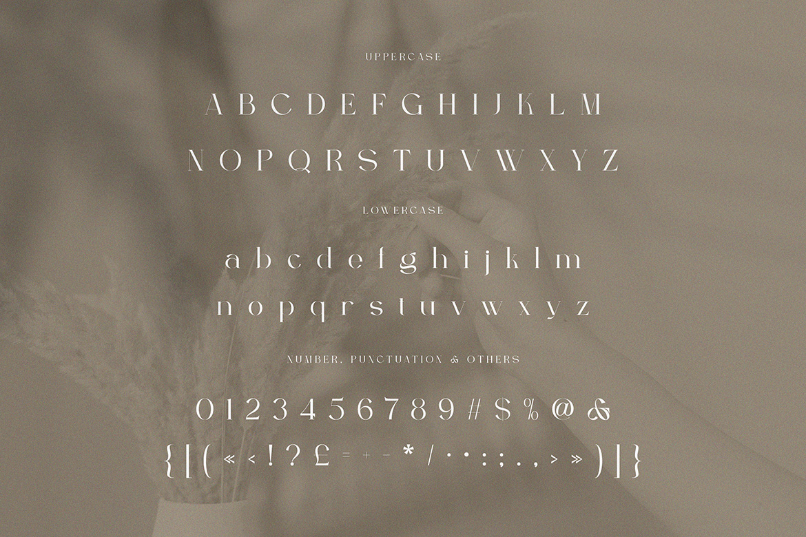 Trendy & Modern Fonts Bundle vol.2 — Mr.Mockup