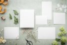 Free Paper Stationery Set Mockup — Mr.Mockup