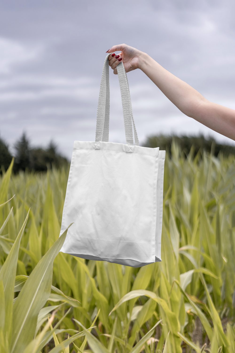 Free Cotton Bag Mockup — Mr.Mockup
