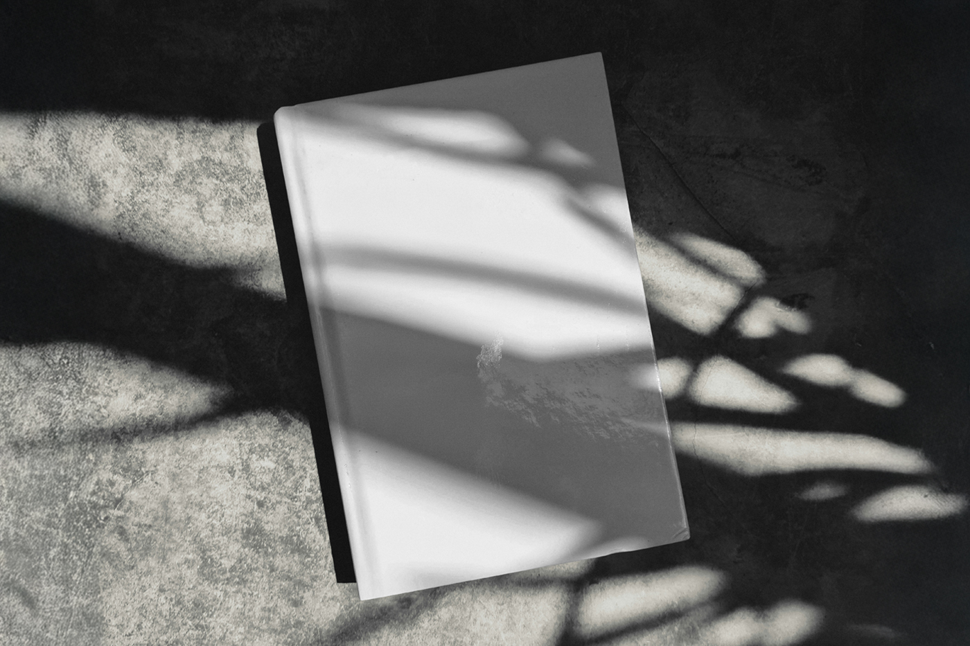 Free Hardcover Book on Concrete Mockup — Mr.Mockup