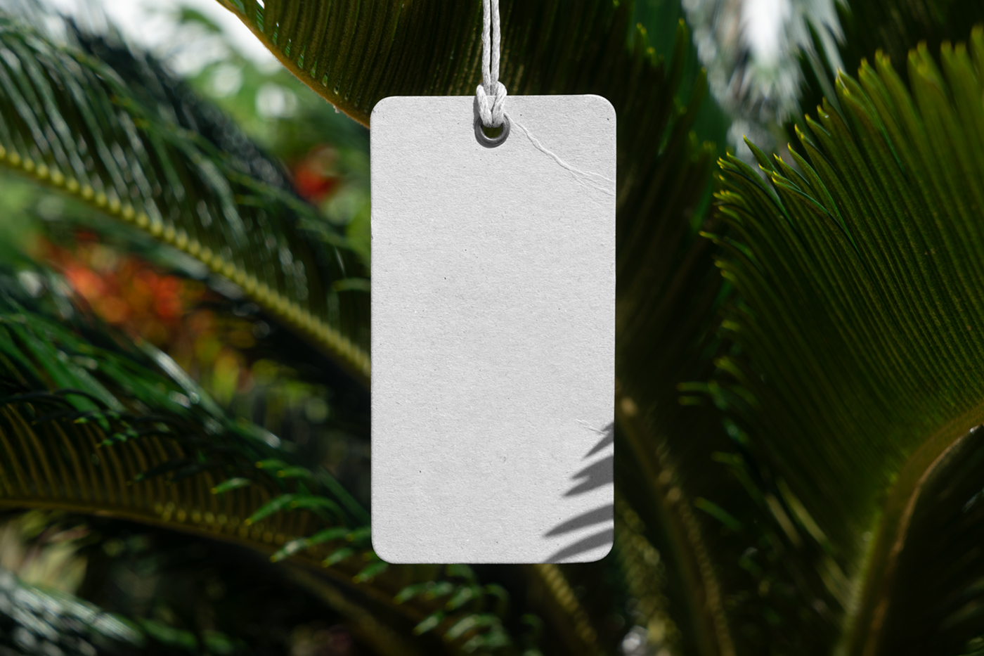 Free Front View Hanging Label Mockup — Mr.Mockup