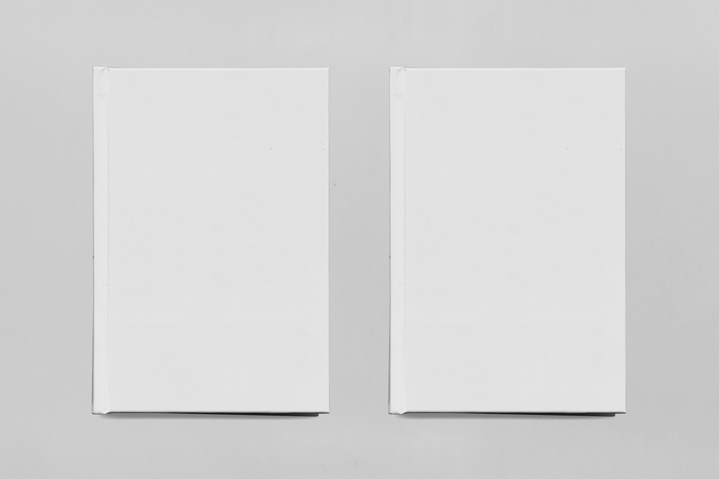 Free Two Book PSD Mockups — Mr.Mockup